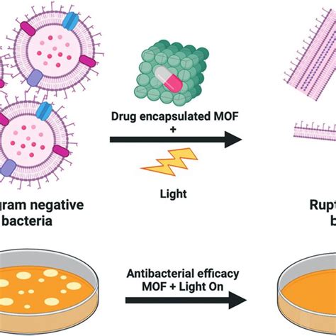 Antibacterial Action Of A Mof Based Mixed Matrix Through Pdt Download Scientific Diagram