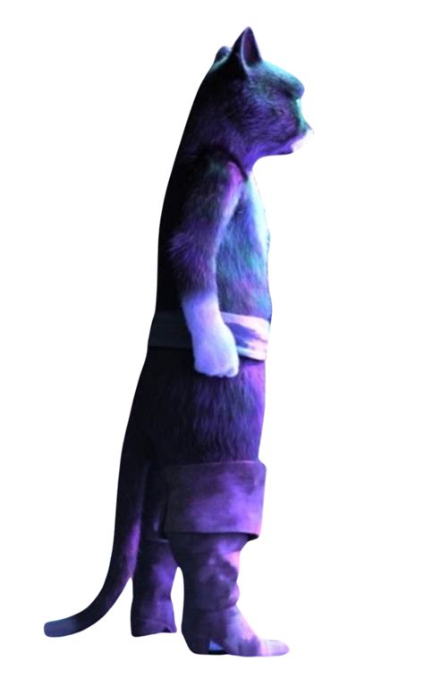 Kitty Soft Paws By Dracoawesomeness On Deviantart