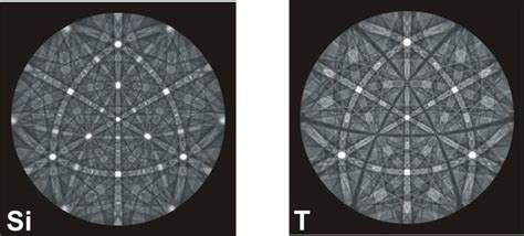 Calculated Photoelectron Diffraction Pattern For A Si111 Surface At 6 Download Scientific