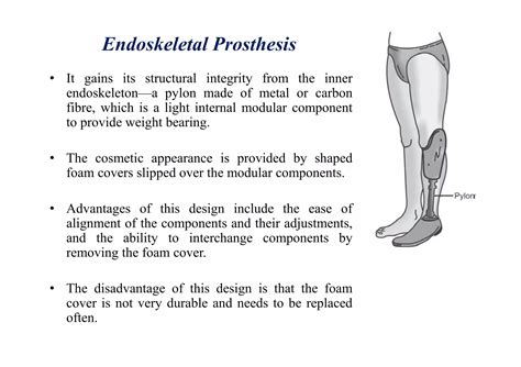 Prosthesis Pdf