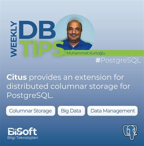Postgresql Postgresql Citus Database Distributeddatabase Bisoft