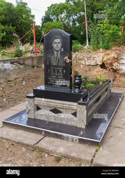 Tombstone With Photo On Cemetery For Man Blossoms On The Grave Of