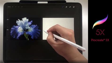 procreate 5x new features part 3 reference panel private layers and