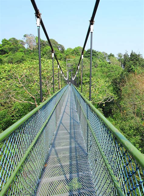 Macritchie Nature Trail