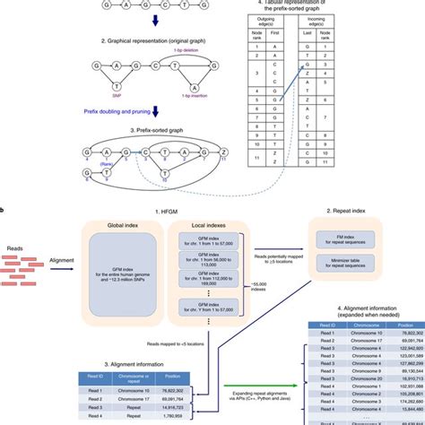 Graph Based Genome Alignment And Genotyping With Hisat2 And Hisat Genotype