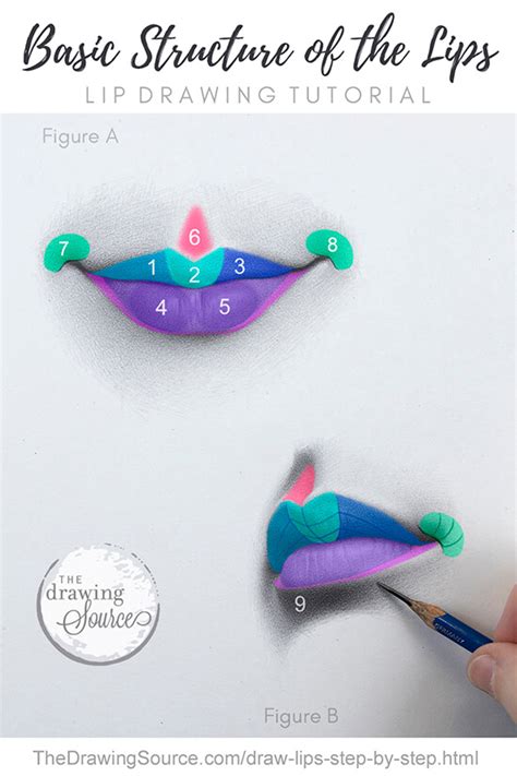 How To Draw Lips Easy Steps