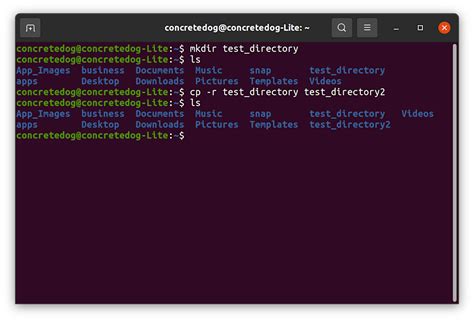 How To Copy Files And Directories In The Linux Terminal