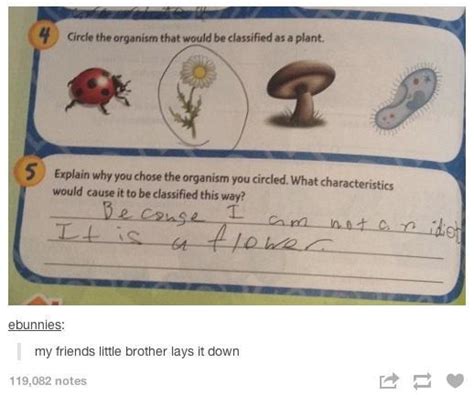 18 Funny Test Answers