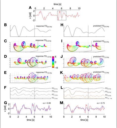 Figure 1 From The Role Of Ecog Magnitude And Phase In Decoding Position
