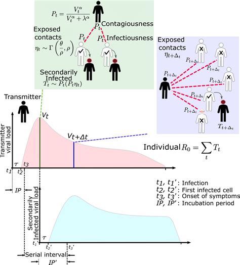 Influenza Transmission