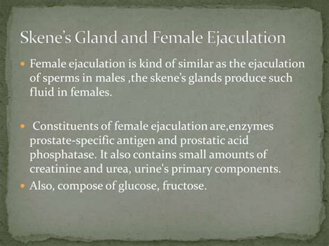 Skenes Gland Anatomy And Regulations And Features Ppt