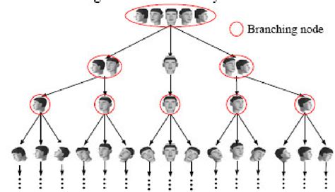 The Tree Structure Used In The Multi View Face Detection System