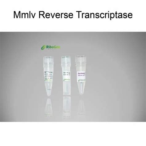 Mmlv Reverse Transcriptase At Rs 3000 Piece In Salem Id 2853867225230