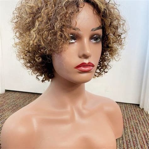 Short Curly Human Hair Wig Short Curly Wigs Wig Hairstyles Human