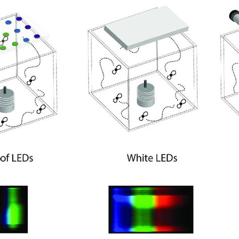 Description Of Light Sources Position Of Light Sources Above Download Scientific Diagram