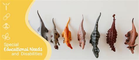 How To Create A Functional Sen Classroom Part Five Twinkl