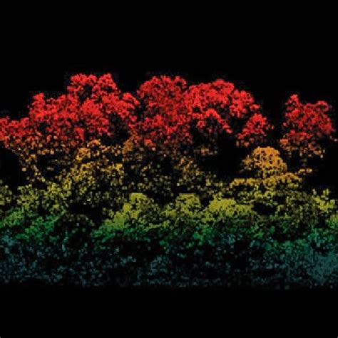 Example Of Lidar Point Clouds Showing A Sample Transect Of 20 M Wide Of