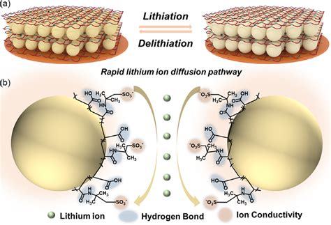 A Volume Expansion And Contraction Of Sio X Anode During Lithiation