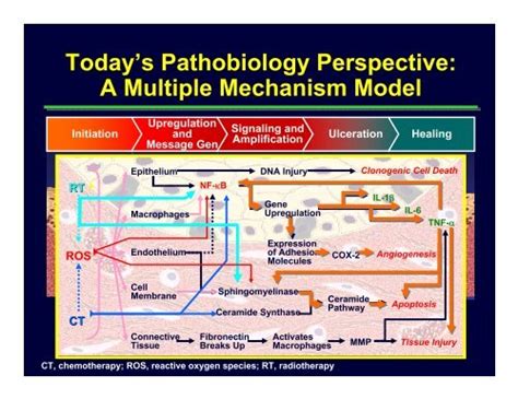 Todays Pathobiology Pe