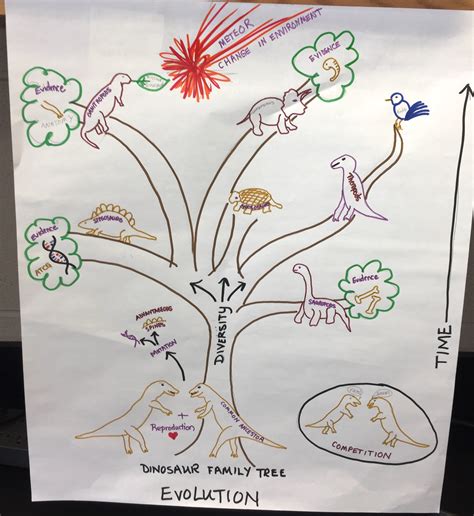 Natural Selection And Evolution — The Wonder Of Science