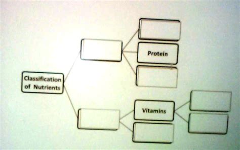 Classification Of Nutrients Flow Chart Proteln Classification O Nutrients Vitamins 25656