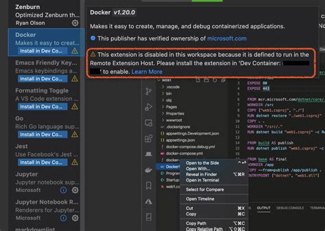 It Is Super Unclear Why Some Extensions Automatically Install Themselves In The Container