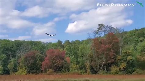 Alexander Akiode Posted On Linkedin Alexander Akiode Posted On Linkedin