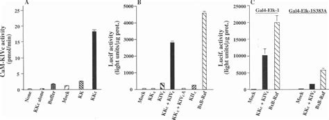 Figure 4 From Regulation Of Mitogen Activated Protein Kinases By A Calcium Calmodulin Dependent