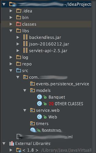 What Should The Project Structure In Intellij Be When Creating Custom Api Services General