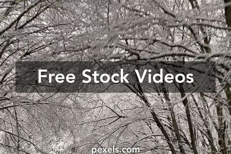 Bare Breasts Bouncing Videos Download The Best Free 4k Stock Video Footage And Bare Breasts