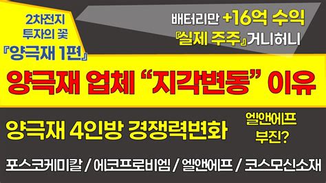 2차전지 수익 17억 양극재 1편 양극재 4인방의 경쟁력 변화 양극재회사별 경쟁력 엘앤에프는 해결책이 있나