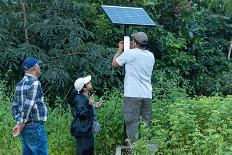 Automating Bat Detection For More Efficient Monitoring And Data Collection