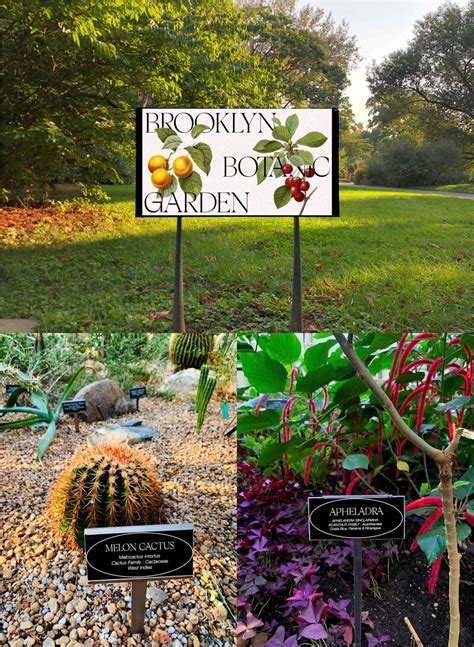 Brooklyn Botanic Garden By Jihyo Yu Sva Design