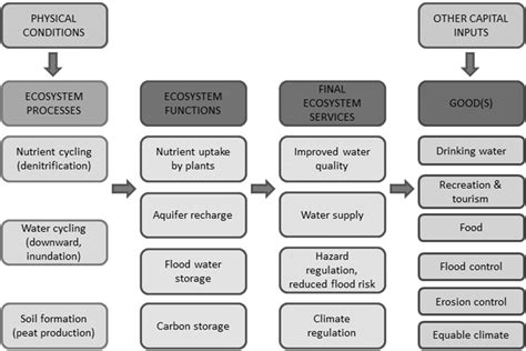 1 Schematic Diagram Of Ecosystem Assessment Linking Processes To Final