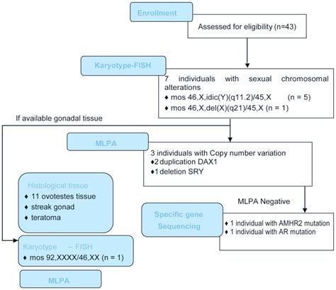 Molecular Medicine Reports