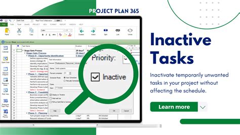 Inactive Task Project Plan 365