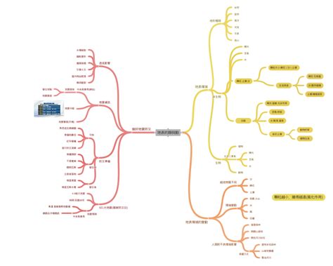 地表的靜與動 顆粒越小，搬得越遠風化作用 Coggle Diagram