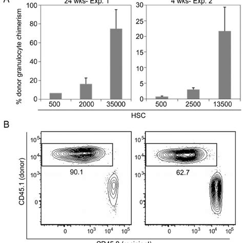 Donor Chimerism Increases With Transplanted Hsc Cell Number In Download Scientific Diagram