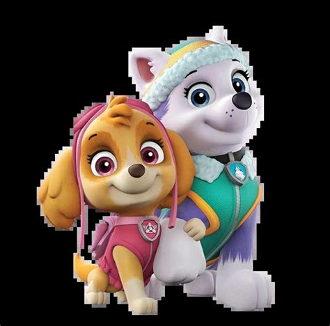 Skye And Everest Paw Patrol Relation Ship Wiki Fandom