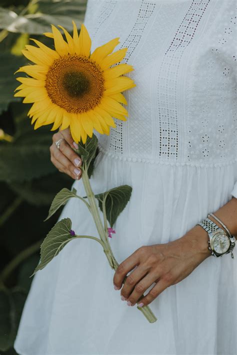 무료 사진 신부 웨딩 드레스 들고 해바라기 꽃 여자 소녀 아름 다운 밝은 색