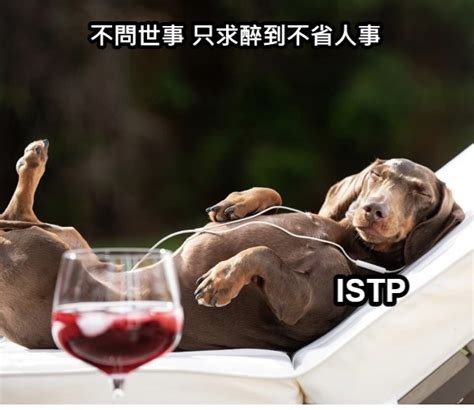 20张超好笑【mbti】梗图！快来看看网友们的搞笑创作！