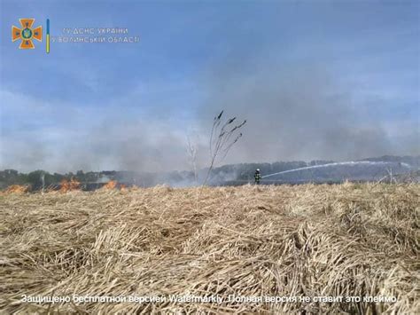 За день три пожежі рятувальники закликають волинян не палити траву