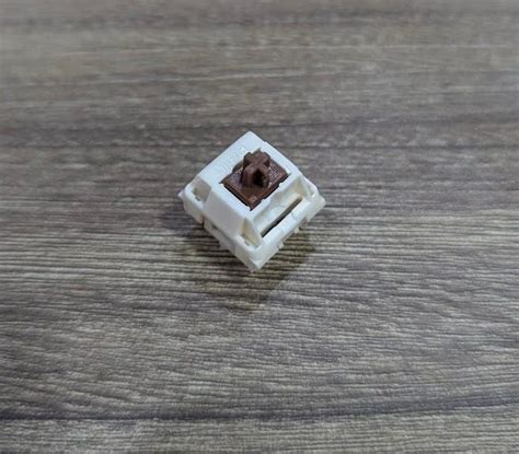 Switch Kailh Snow Cocoa The Keebs Store