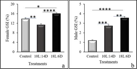 Effect Of Photoperiod On X Maculatus Gonadal Maturation Is Download Scientific Diagram