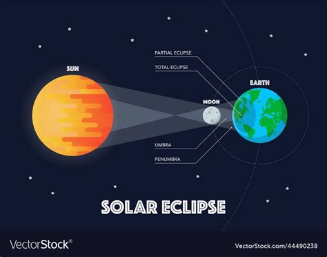 Sun Moon Earth Solar Eclipse Infographic Vector Image On Vectorstock In 2024 Solar Eclipse