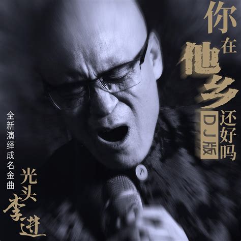 你在他乡还好吗 光头李进 高音质在线试听 你在他乡还好吗歌词 歌曲下载 酷狗音乐