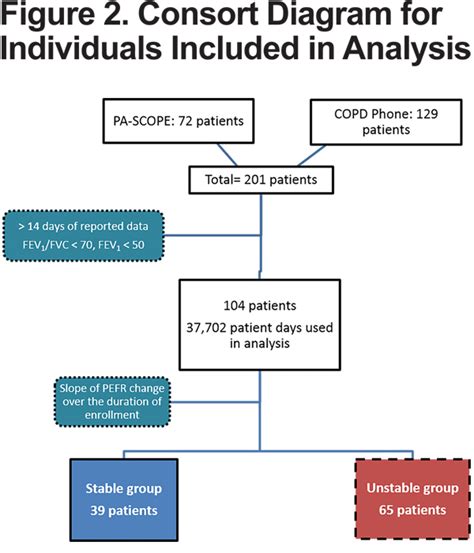 Peak Expiratory Flow Rate Emergency Room At Jerome Weeks Blog