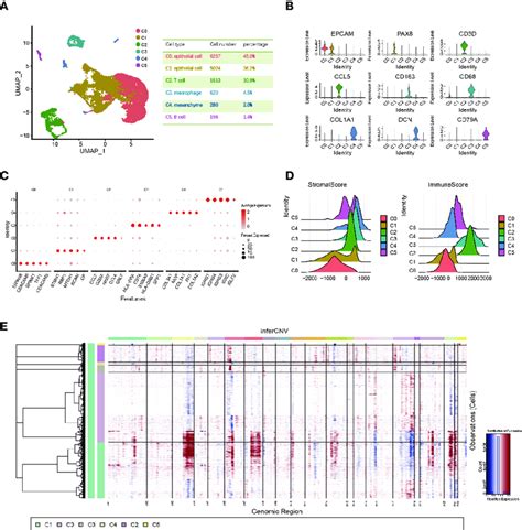 Single Cell Expression Profile Of Oc And Normal Ovary A Oc Cell