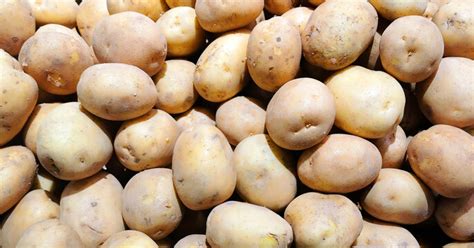 土豆图片素材 土豆设计素材 土豆摄影作品 土豆源文件下载 土豆图片素材下载 土豆背景素材 土豆模板下载 搜索中心