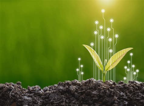 The Best In Corporate Social Responsibility Statista R